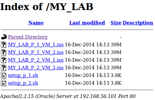 Create your own Oracle Staging Environment, Part 3: Setup the lab ...